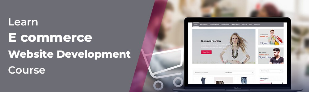 eCommerce Website Development - Inspizone India Private Limited